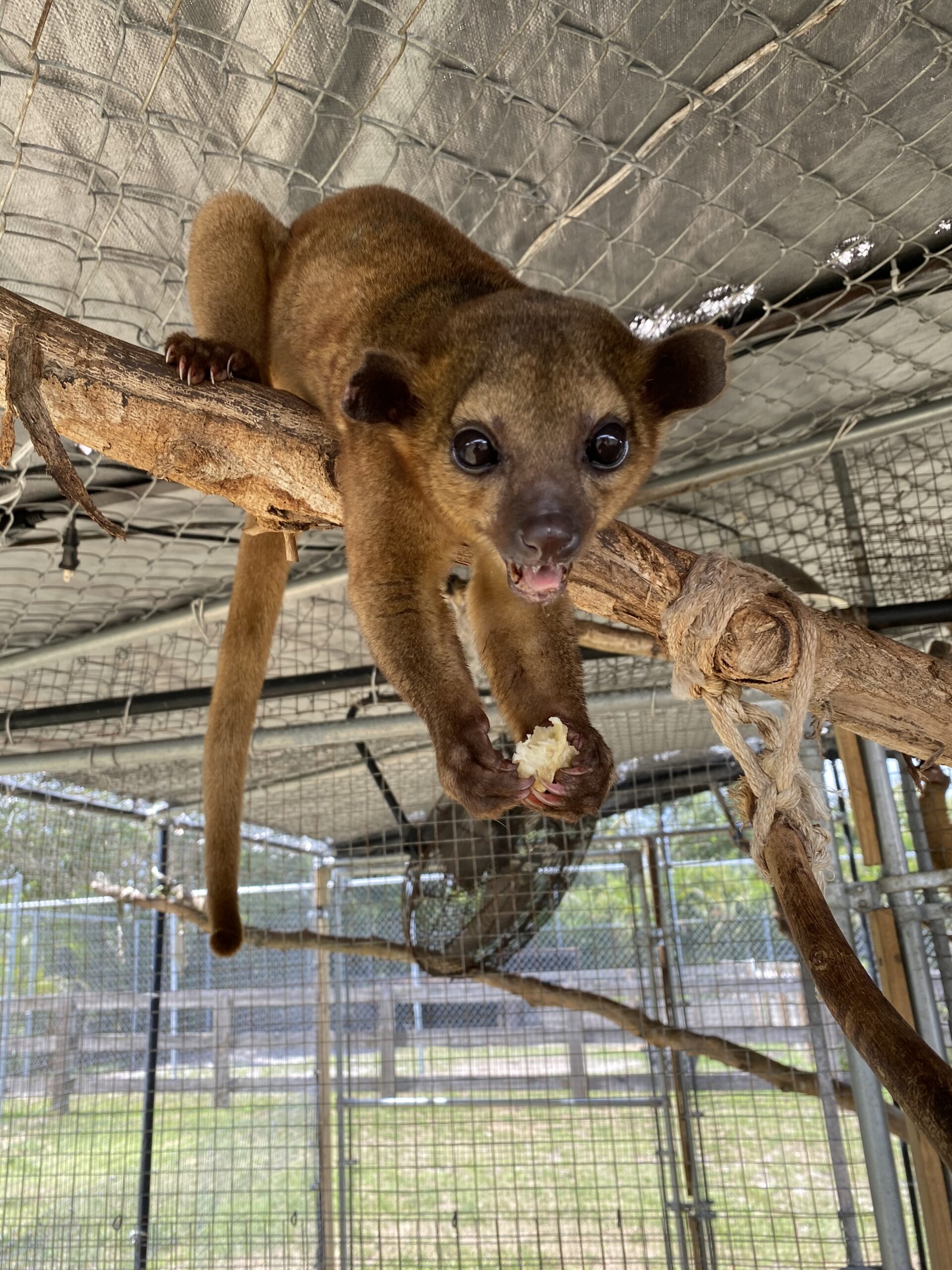 Wellington Conservation Center
